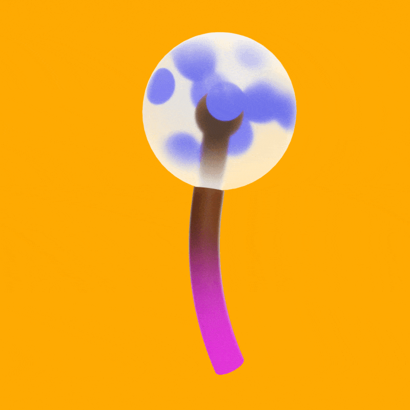 illo — a very creative studio